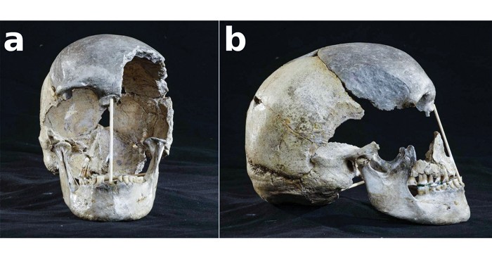 Humans and Neanderthals interbred with each other, and scientists now ...
