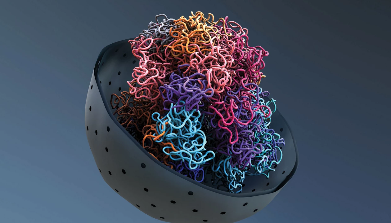 Spatial 3D map of the human genome is built
