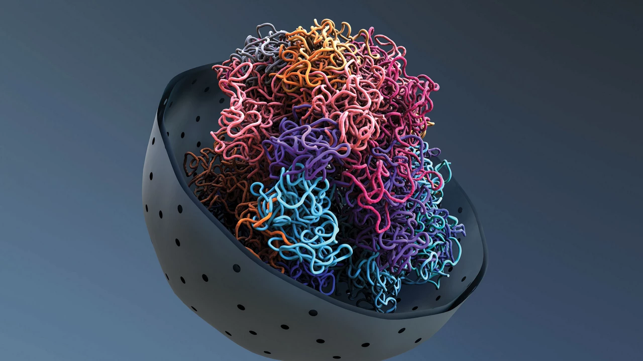 Spatial 3D map of the human genome is built