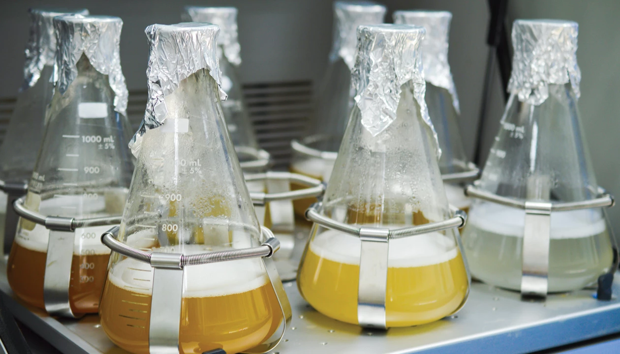 Bacteria built with smallest genetic code ever