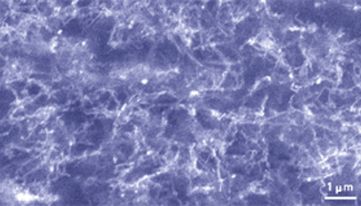 Paving the Way for Nanotech