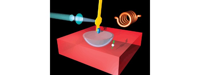 SPIN-MAGNETIC-RESONANCE-IMAGING