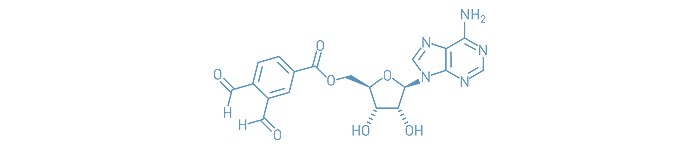 SCIENCE-CONCENTRATES-Landing-Page