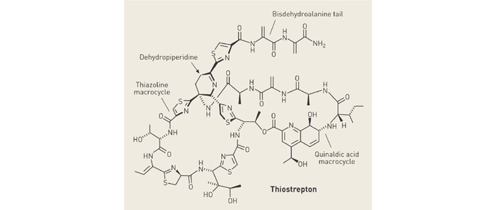 THIOSTREPTON-SCRATCH