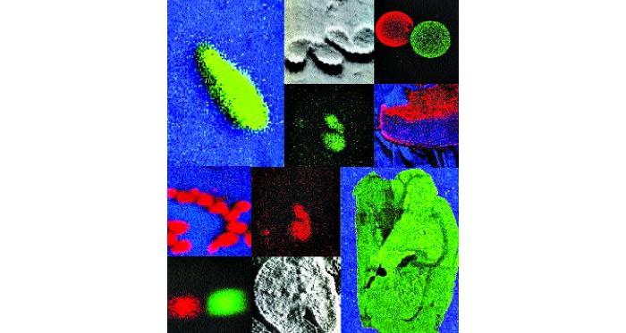 DRAWING-MASS-SPEC