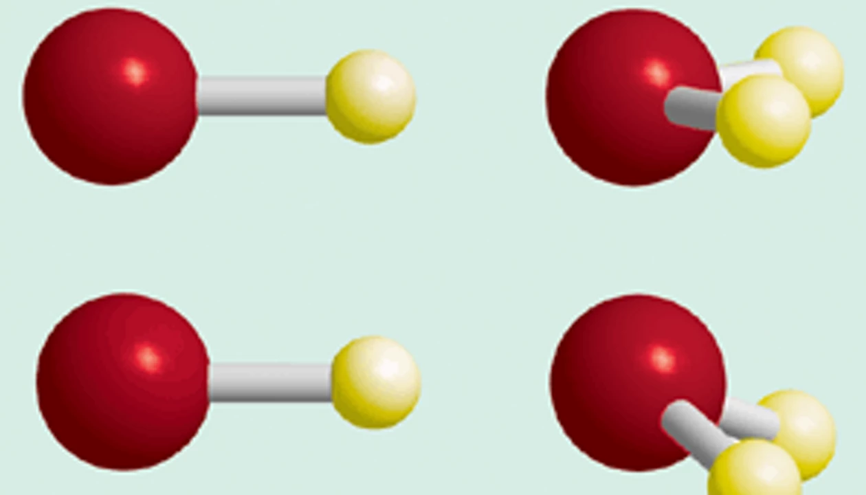 H2O-HO Radical Complex Unveiled
