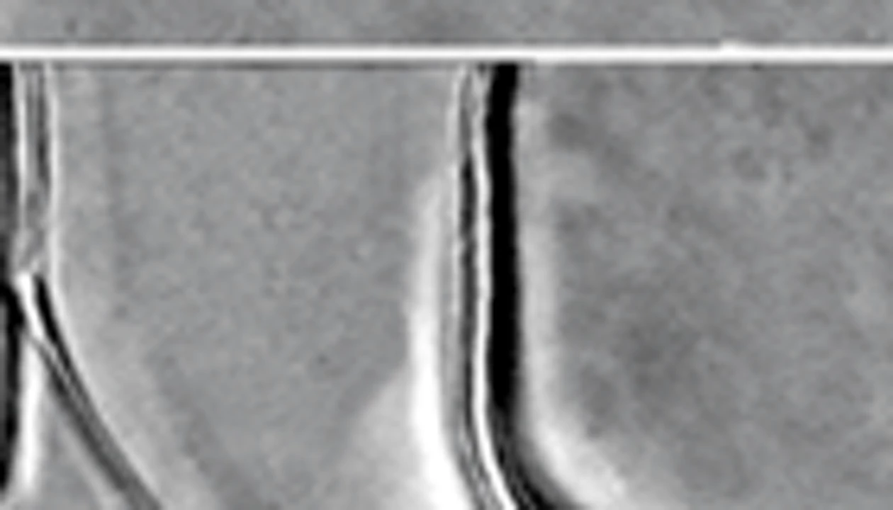 Trapping Cells and Organelles