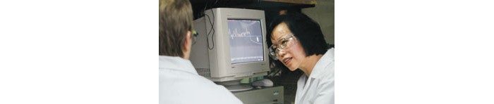 INFORMATION-TECHNOLOGY