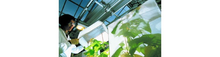 BAYER-AGCHEM-UNIT-LOOKS-BRAZIL