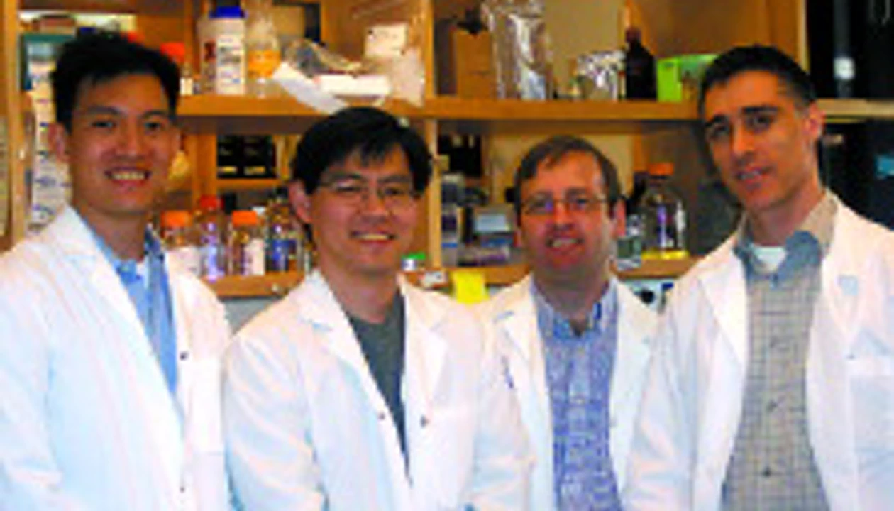 A New Way To Fight Bacteria