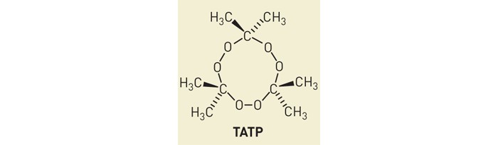 Biochemist-Arrested-London-Bombings