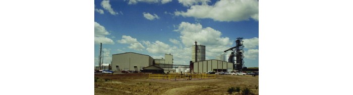 Ethanol-Wins-Big-Energy-Policy