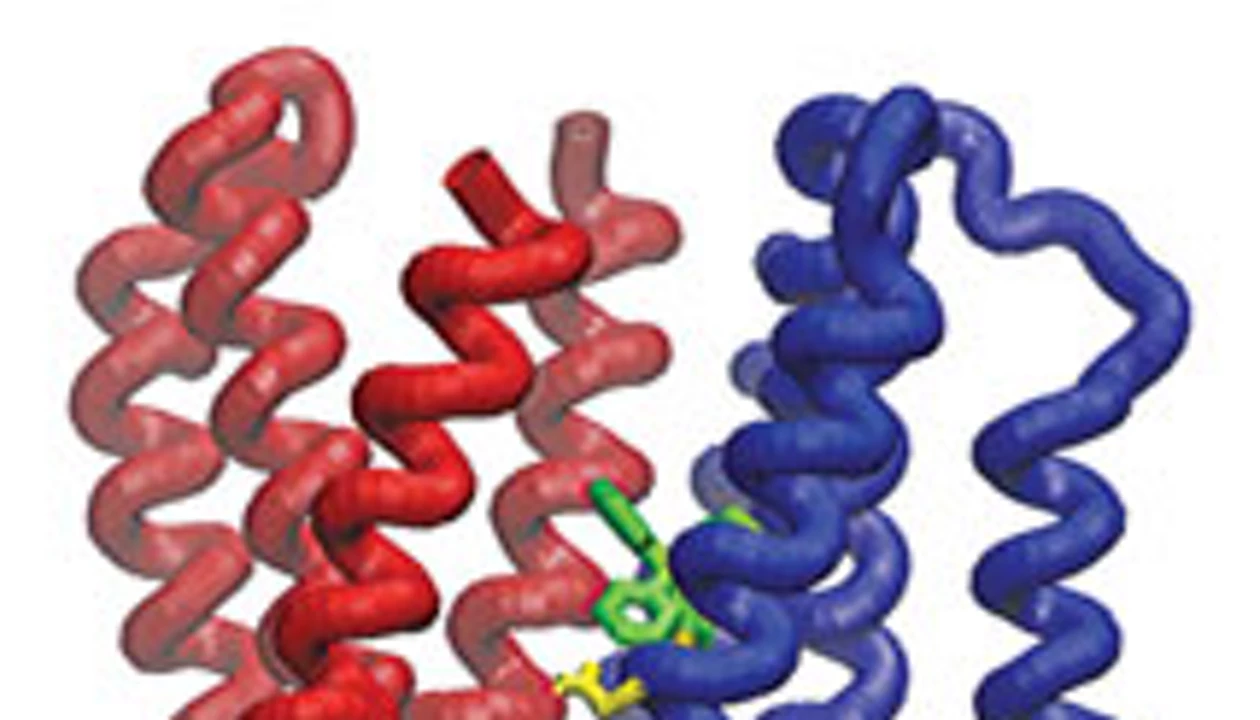 Flip-flopped Structure