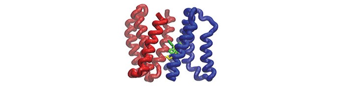 Flip-flopped-Structure