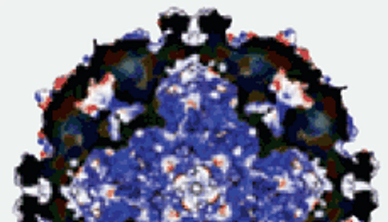 Sulfur-cutting enzyme up close
