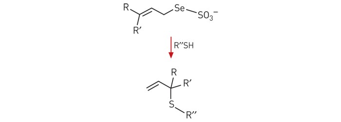 Chemical-ligation-reaction-creates-permanent