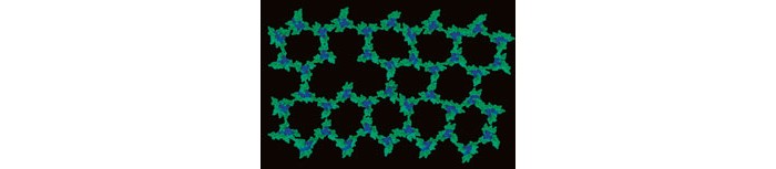 Cell-wall-model-proposed