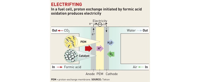 Fuel-cell-venture-formed