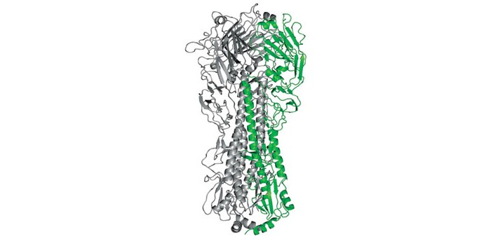 Bird-flu-protein-structure-solved
