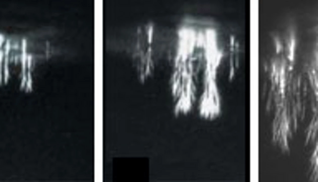 Sprites Trigger Sky-High Chemistry