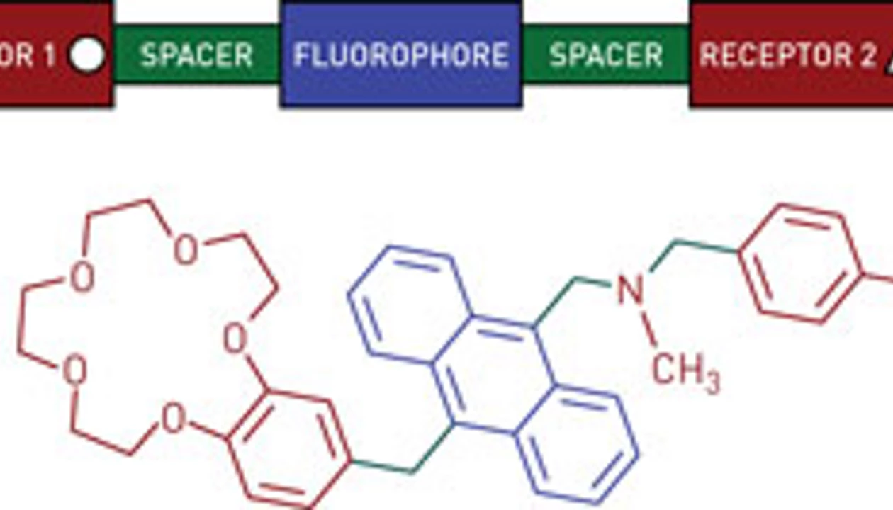 Molecule Signals Presence Of Ion Trio