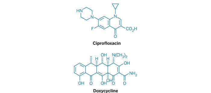 Giving-Bacteria-One-Two-Punch