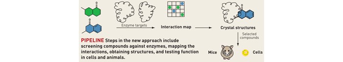 Analyzing-Protein-Interactions