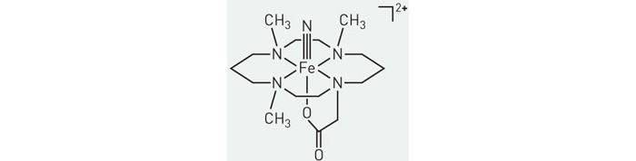 Second-known-FeVI-complex-debuts
