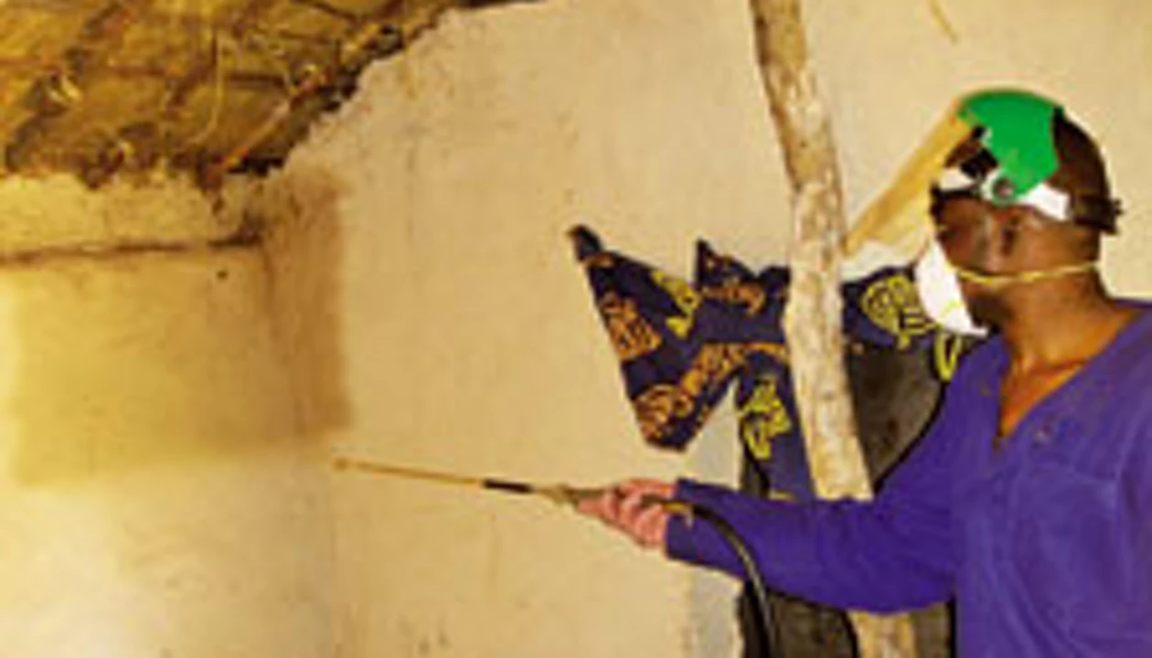 WHO Endorses Indoor Spraying With DDT