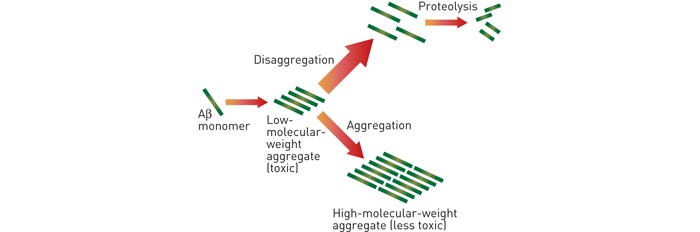 Two-Path-Mechanism