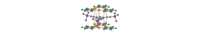 Methyl-lined-pores-trap-simple