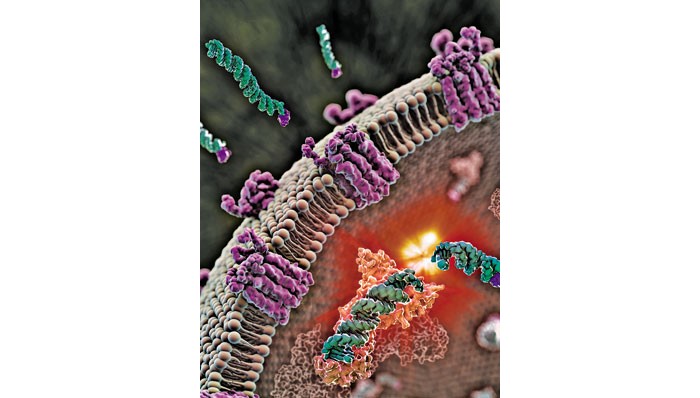 Delivering-RNA-Interference