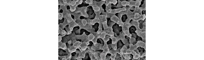 Monolithic-Chromatography