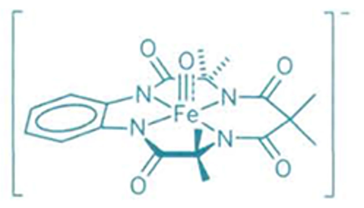 Reactive iron(V) Oxo Intermediate Isolated