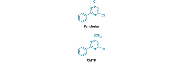 Chemical-Breakdown-Helps-Plants-Grow