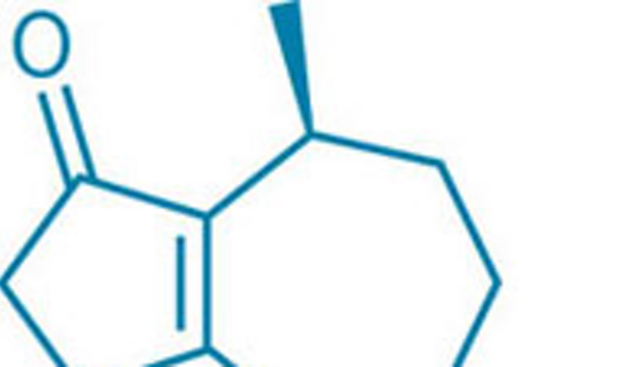 Rotundone Imparts Peppery Aroma