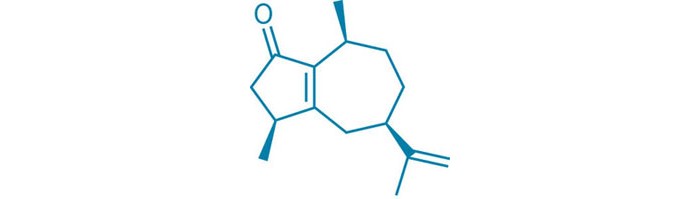Rotundone-Imparts-Peppery-Aroma