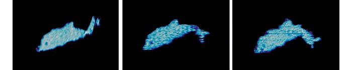 Designing-DNA-Made-Easy