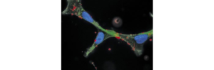 NIST-Plays-High-Stakes