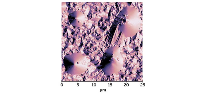 Save The Chocolate, A Scientific Mission