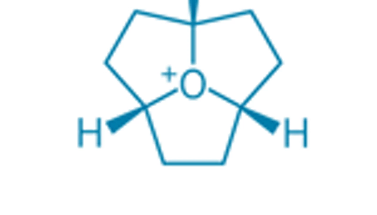 Taming Alkyl Oxonium Ions