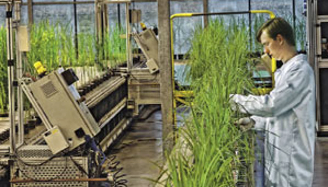 Farm In A Lab