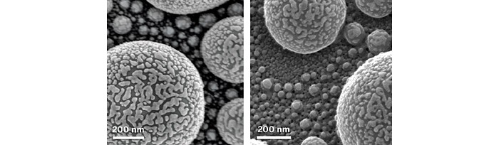 Say-Hello-Helium-Ion-Microscopy