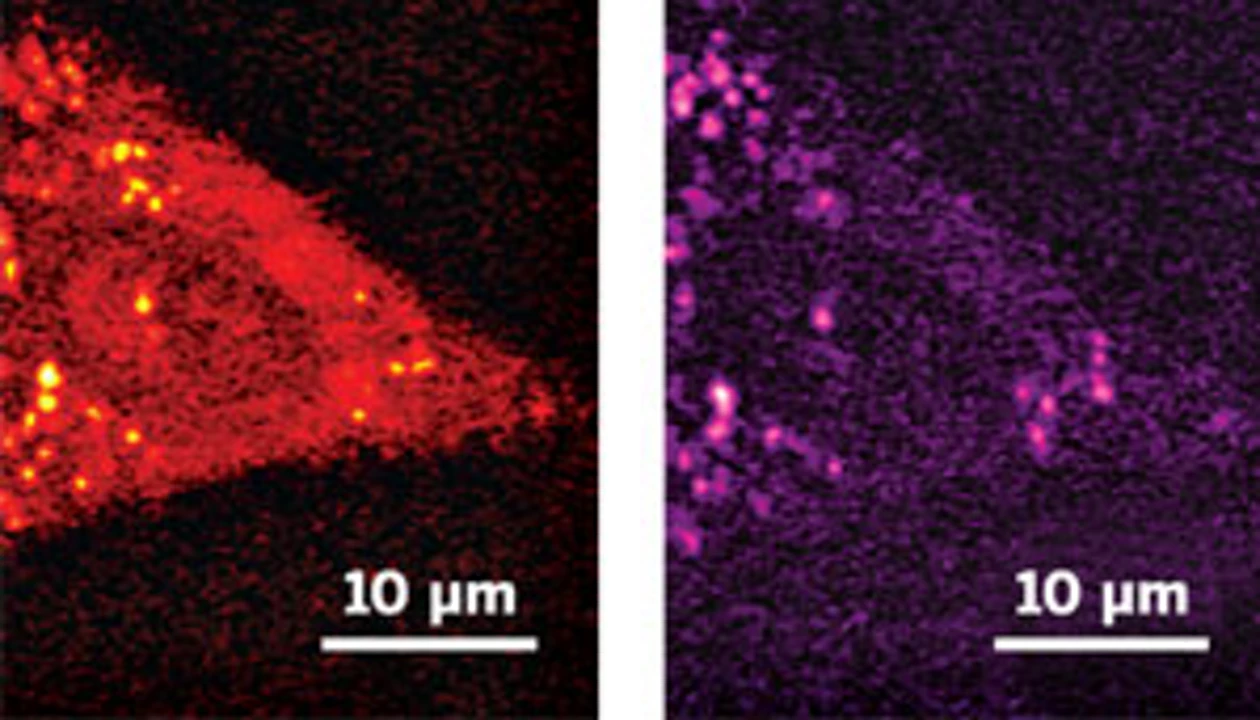 High-Sensitivity Imaging