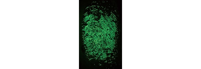 Fingerprints-Reveal-Drug-Use