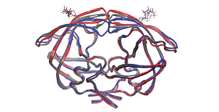 Protease-Flaps-Give-HIV-Drugs