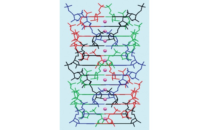 Self-Assembled-Nucleotide-Helix