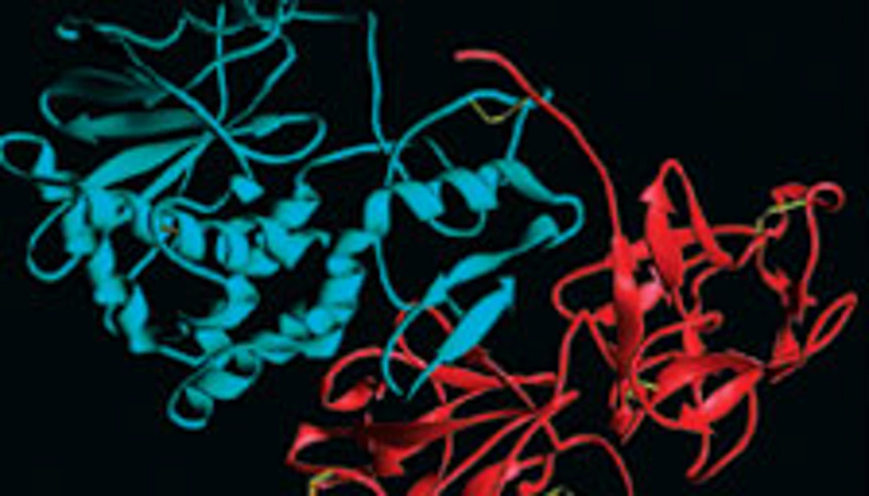 Detecting Ricin