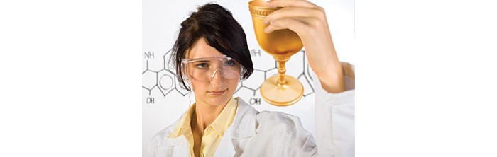 Crusade-Against-Holy-Grails