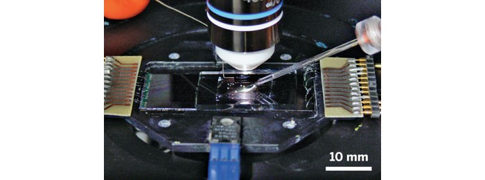Improved-Nanowire-Cell-Connections